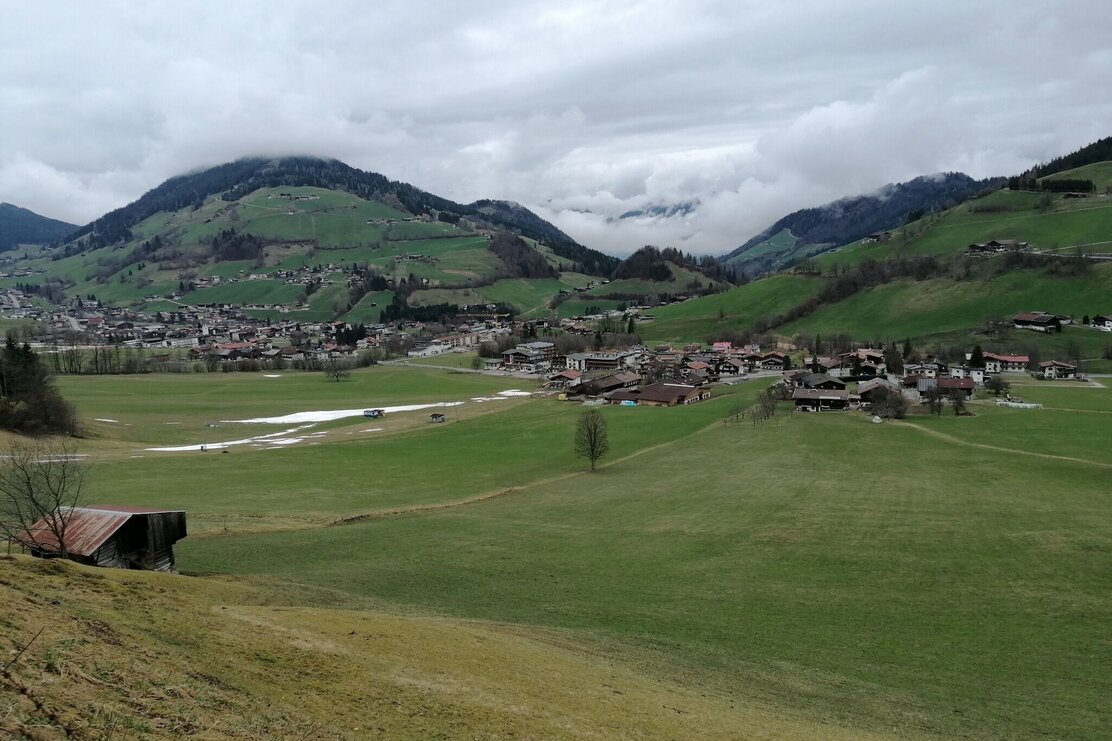 Niederau-Auenweg-Waldrandweg | Wildschönau