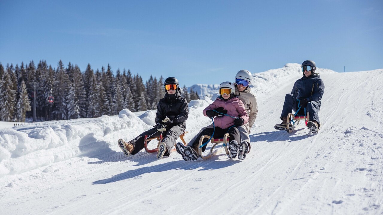 Toboggan run Schatzberg / Koglmoos | Wildschönau
