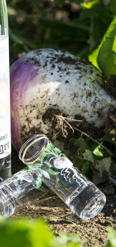 Krautinger the unique schnapp in Wildschönau | Wildschönau