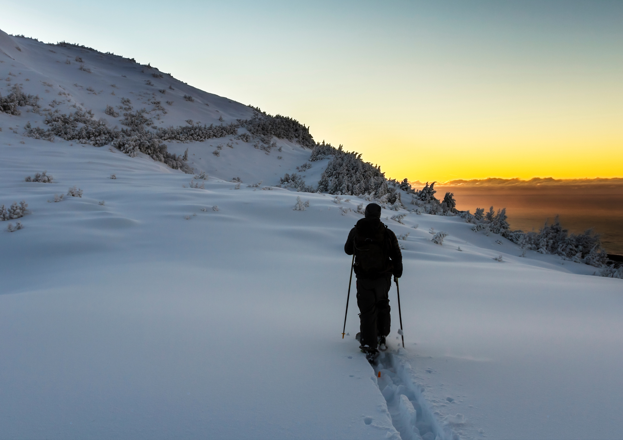 Ski Touring Evening at the Norderbergalm | Wildschönau